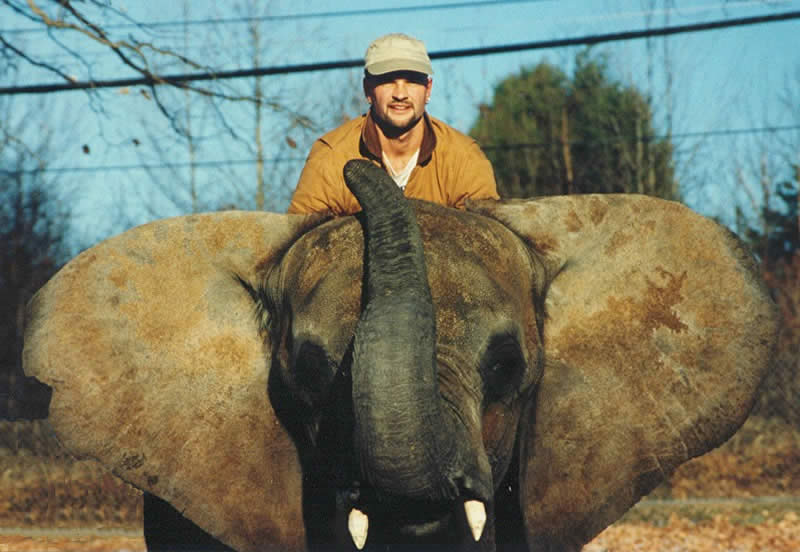 Brian Gisi's Model Behavior Animal Training: Resources