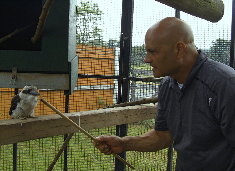 Brian Gisi's Model Behavior Animal Training: Gallery